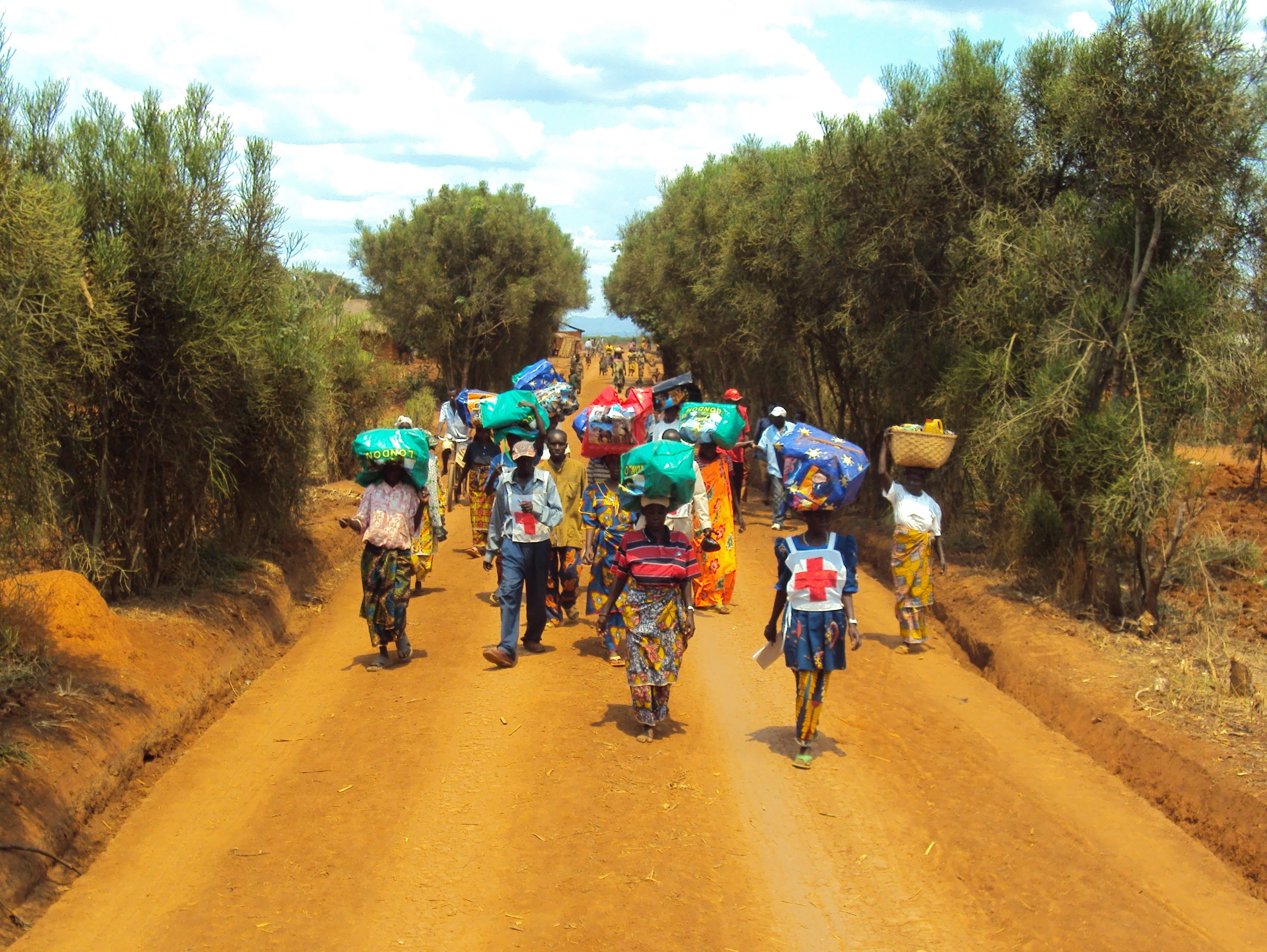 Malaria prevention report