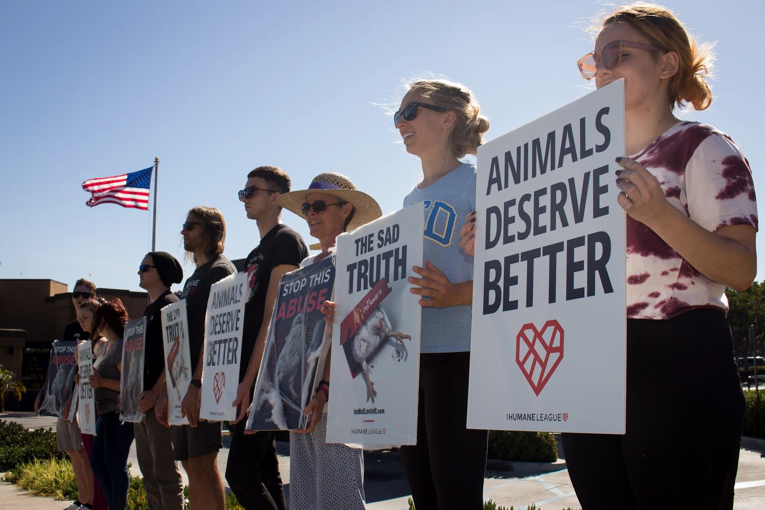 Corporate Campaigns for Animal Welfare