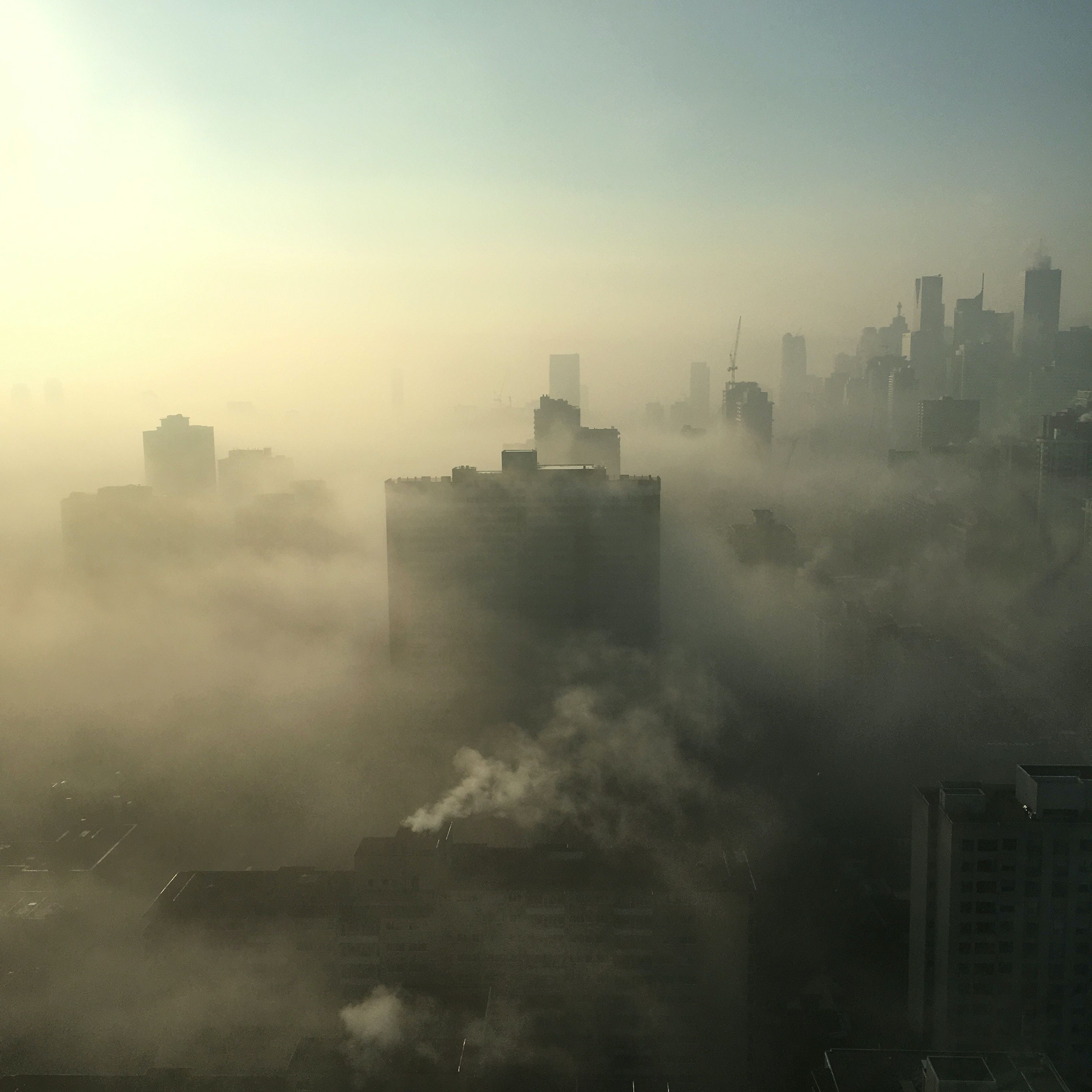 Air pollution report
